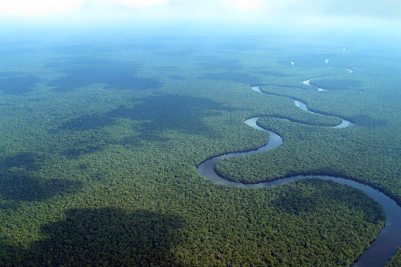 Sources and Photo credits - Tropical Rivers and Floodplains